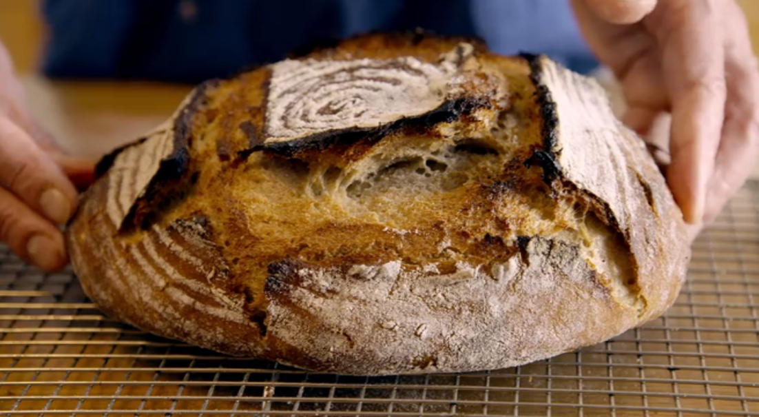 Anmeldelse: Cooked (Netflix Original) – Forhistorisk Mad